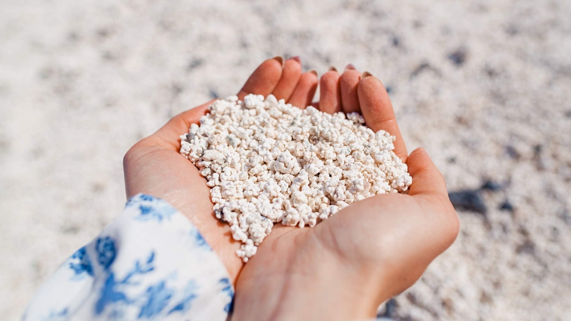Popcorn Beach na Fuerteventurze – niezwykła plaża z koralowców - Chillizet